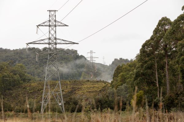 Regulated Transmission Pricing - TasNetworks